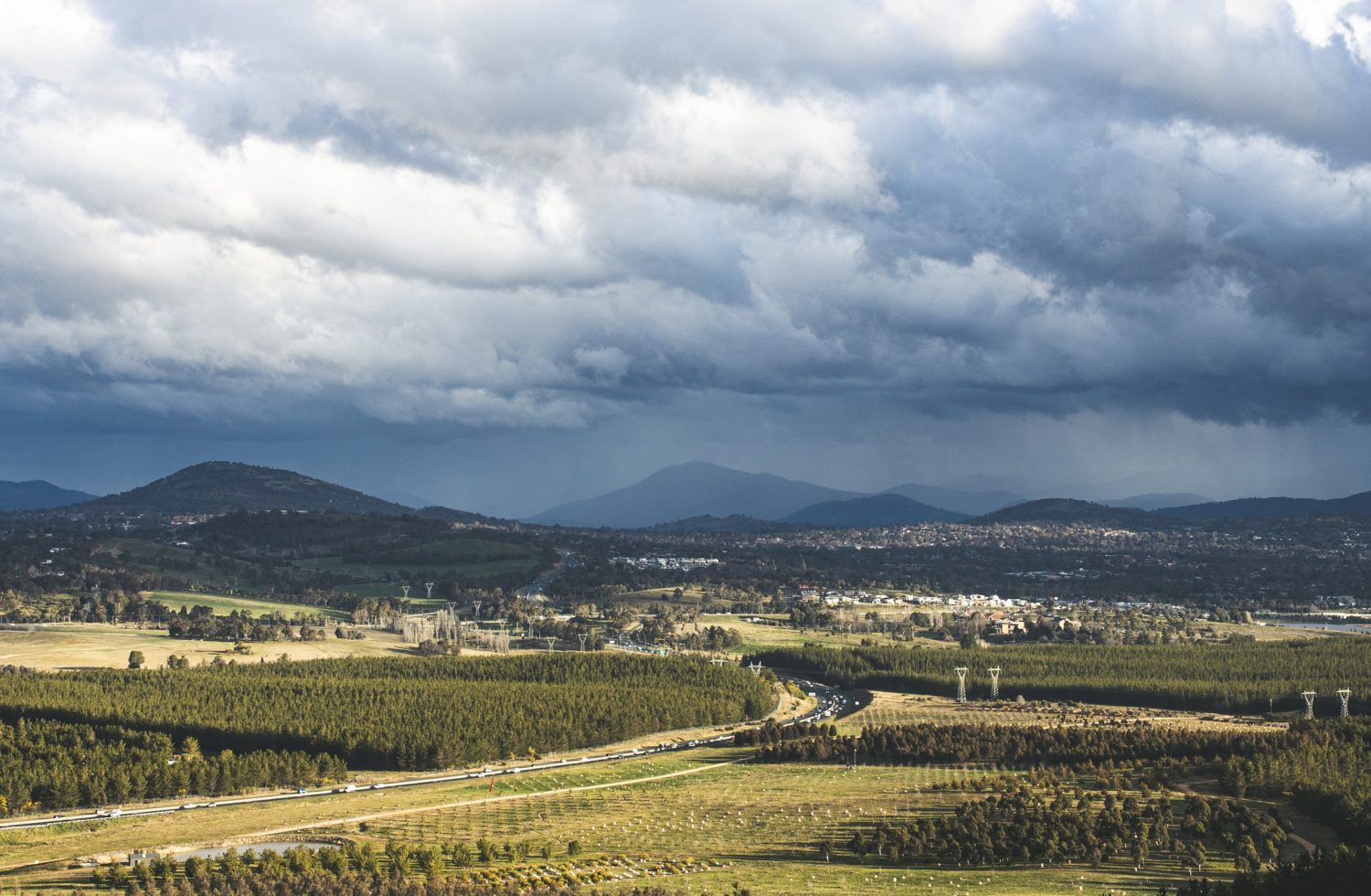 REIP Industry Pulse August 2021 - Real Estate Industry Partners